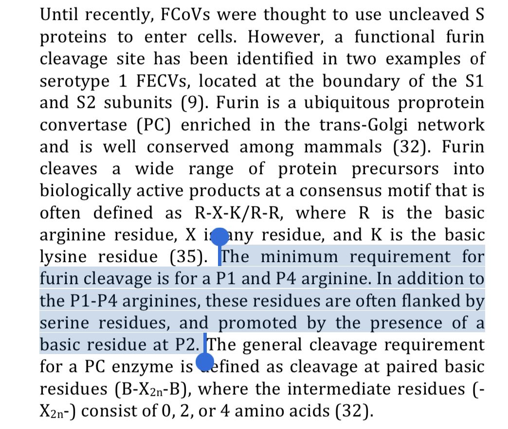 Thread by @MartinaSisters on Thread Reader App – Thread Reader App