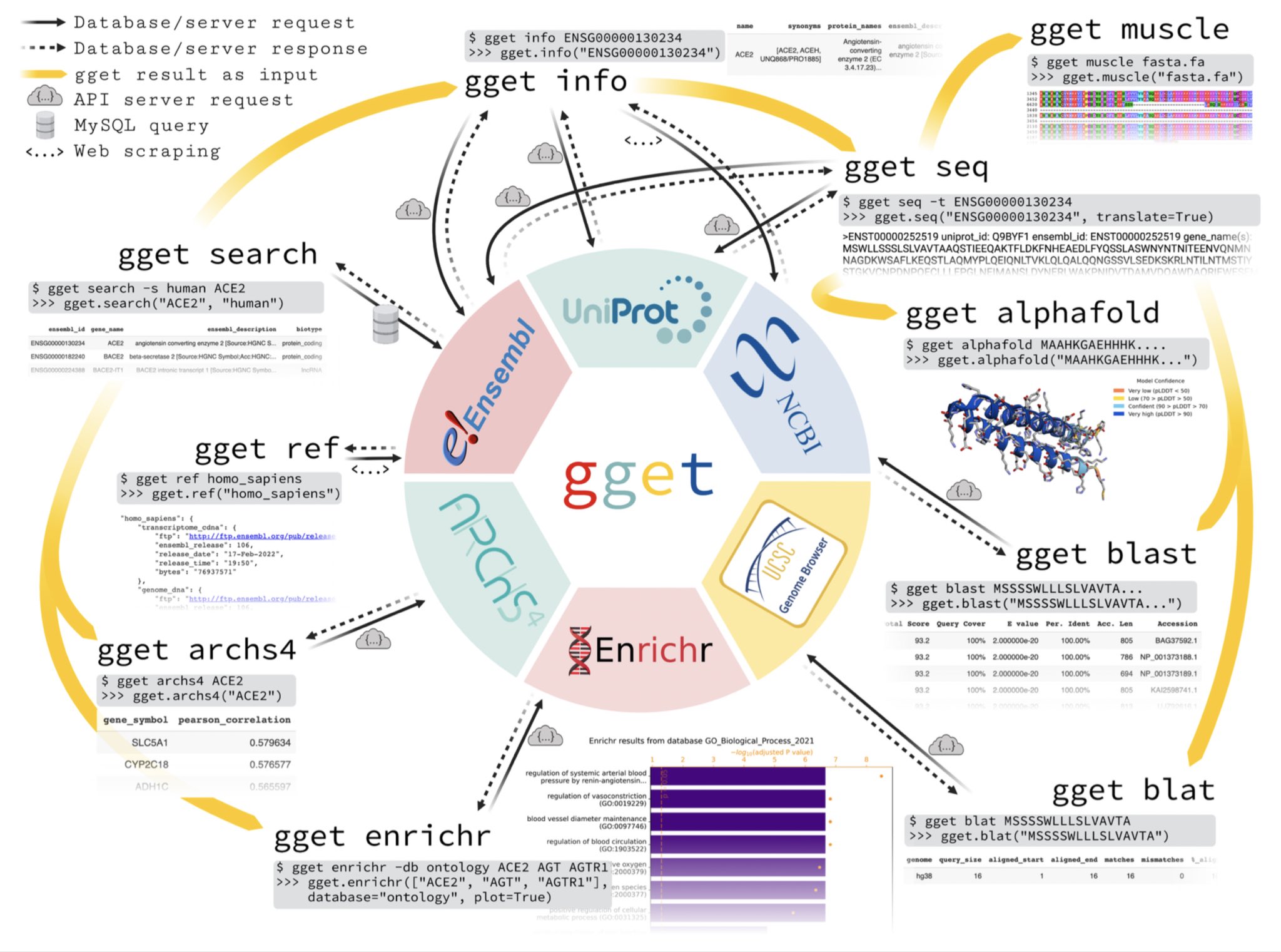 antisense. on Twitter: "gget: Efficient querying of genomic reference databases https://t.co ...