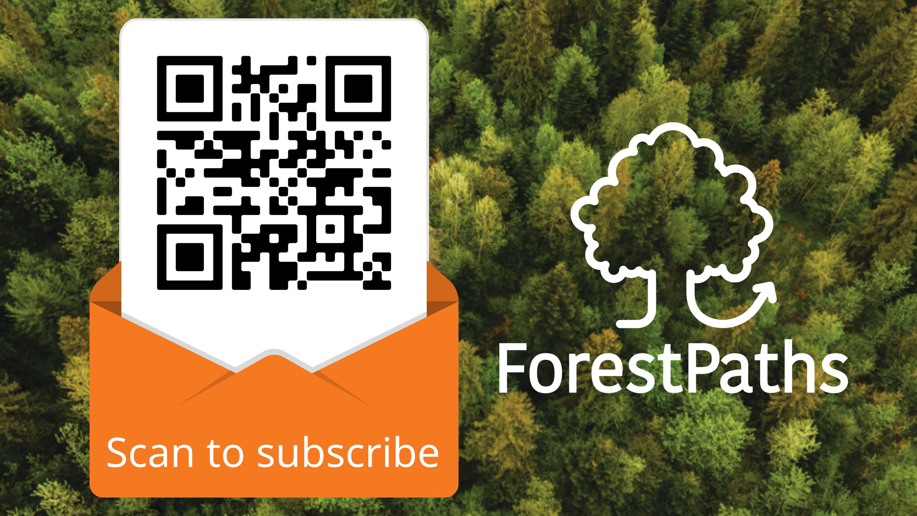 ForestPaths Project (@forestpaths_eu) / Twitter