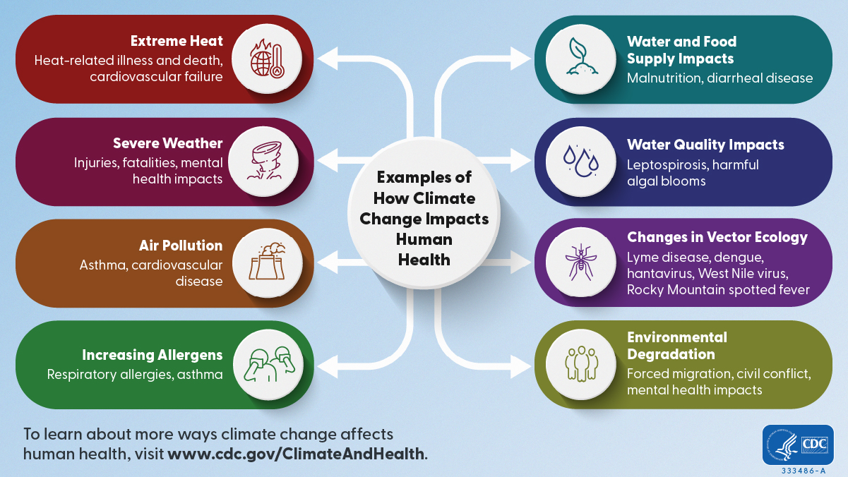 Global Warming Effects On Humans Health