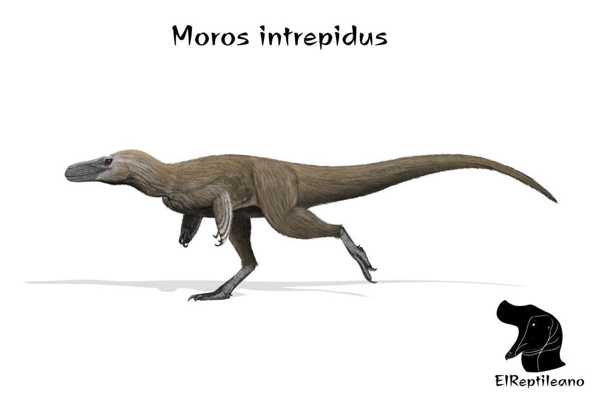 tyrannosauridのTwitterイラスト検索結果(古い順)。