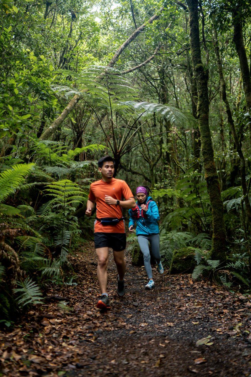 Trail running merupakan suatu kegiatan lari dengan menyusuri pegunungan, hutan, daerah ...