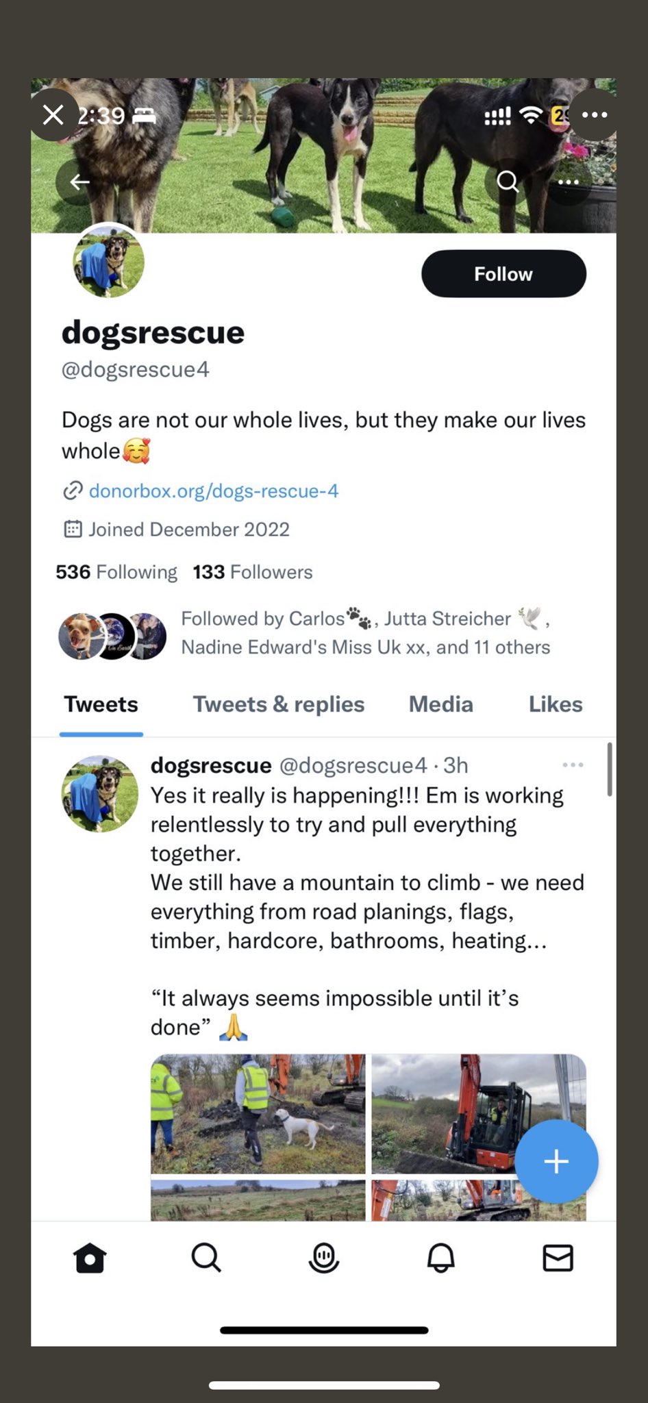 What Happened To 6 Dogs