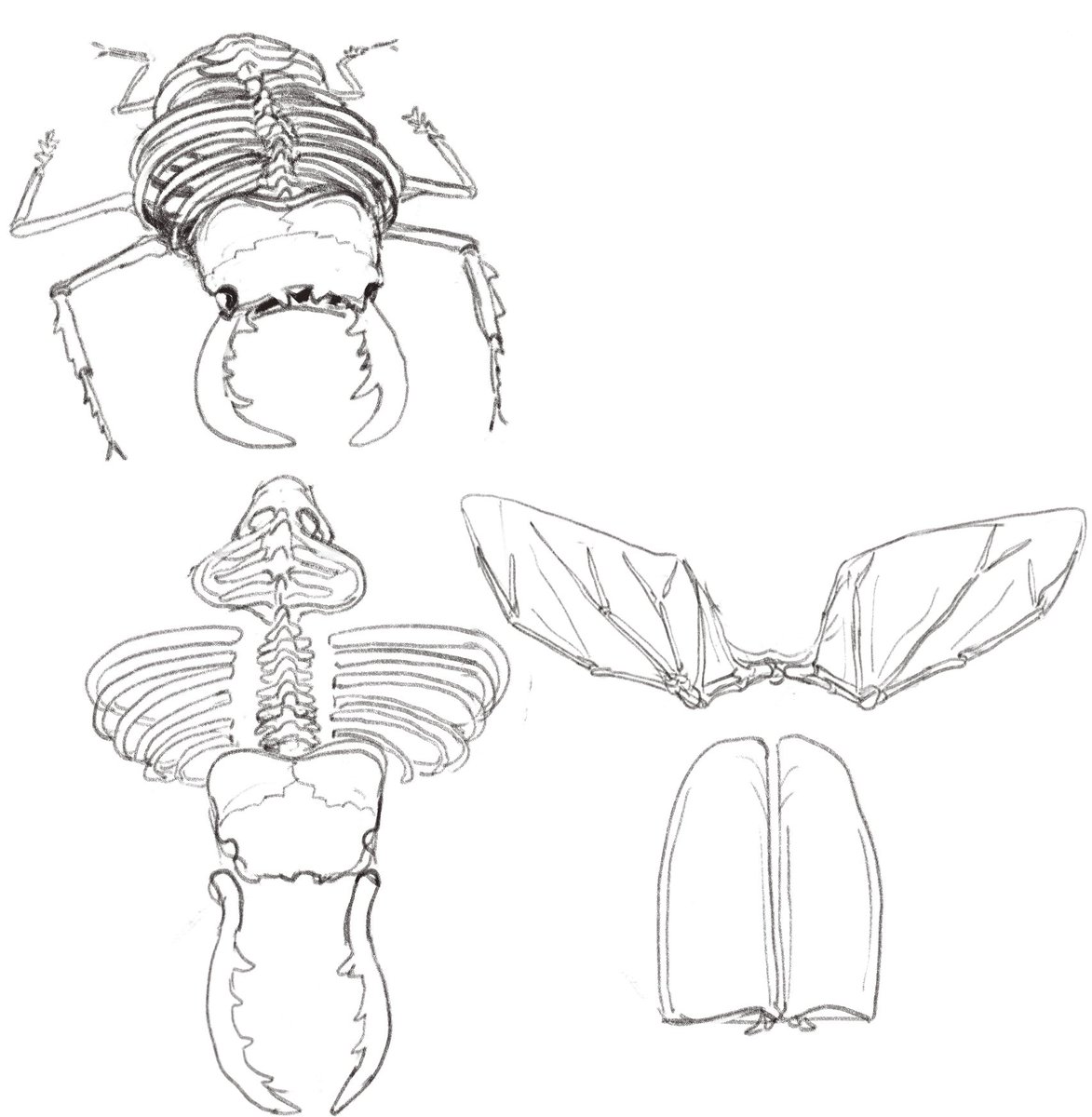 「Endoskeleton 」Deentの漫画