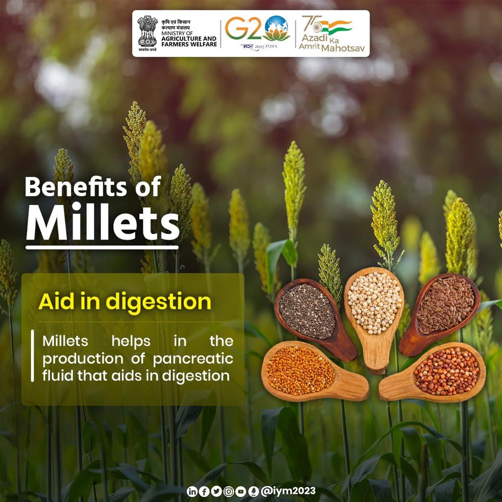 India in Bangladesh on Twitter: "As we celebrate International Year of Millets #IYM2023, here ...