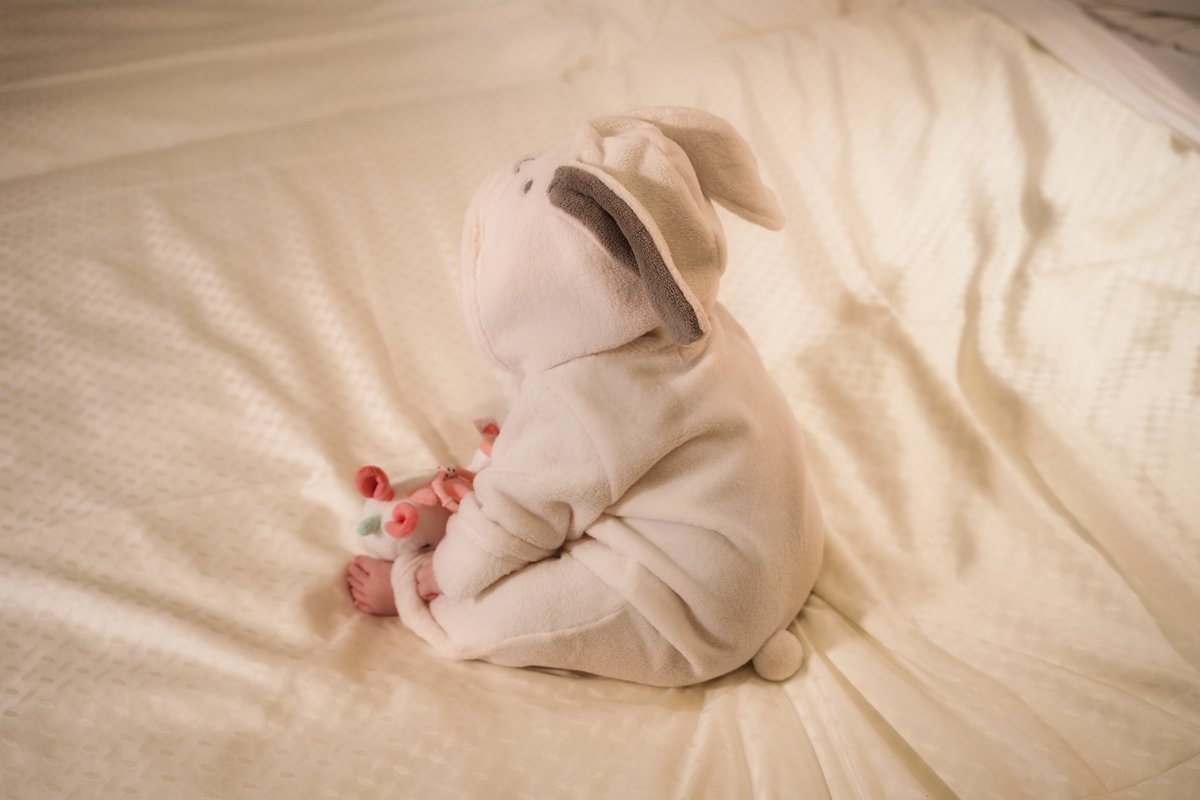 a2c｜MintJam 20th(@mellowjamstudio) - Twilog (ツイログ)