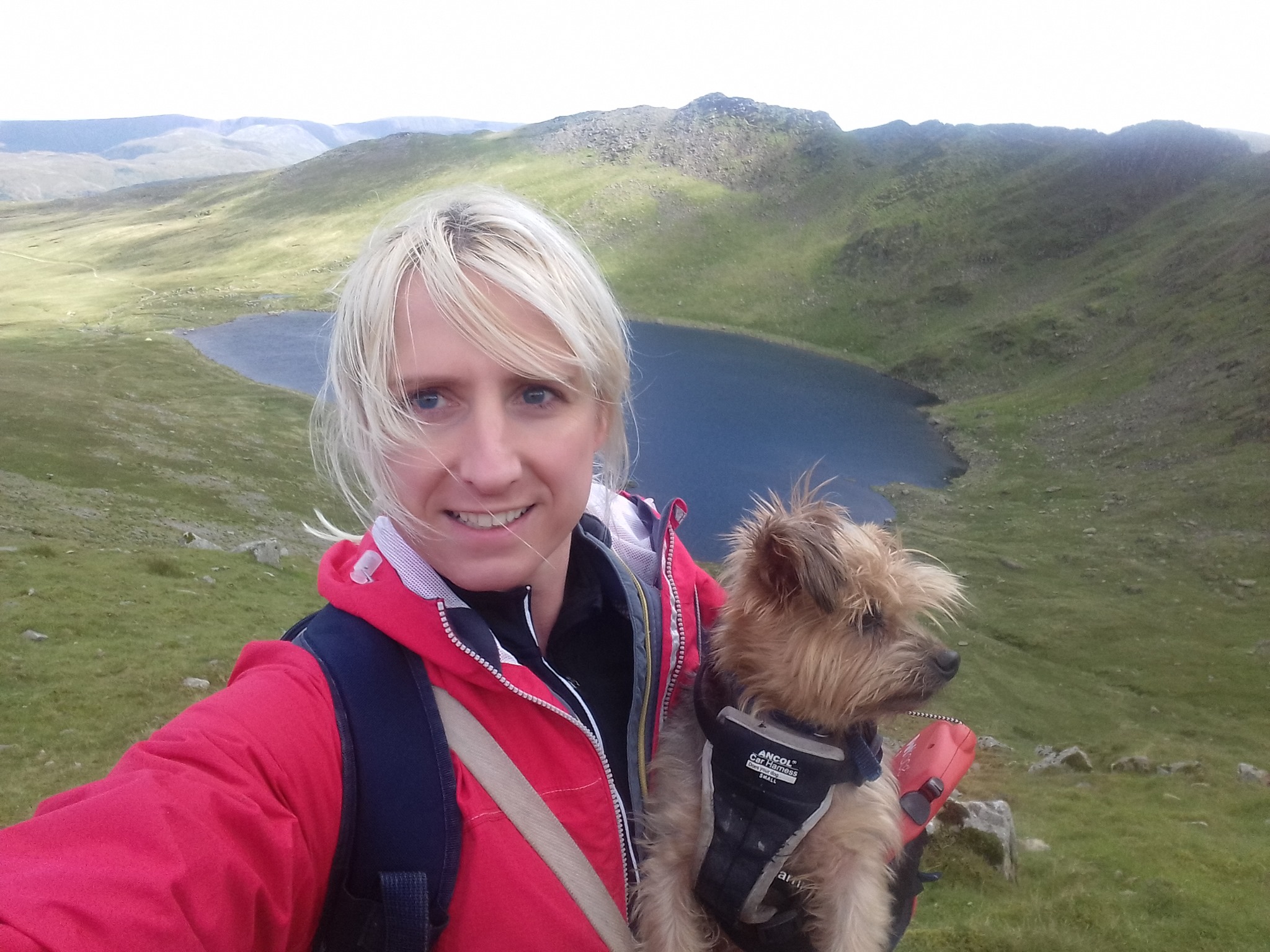 TW Pornstars - Katie__Fox 🏴󠁧󠁢󠁥󠁮󠁧󠁿 Berlin. Twitter. Day 3 of being away ...