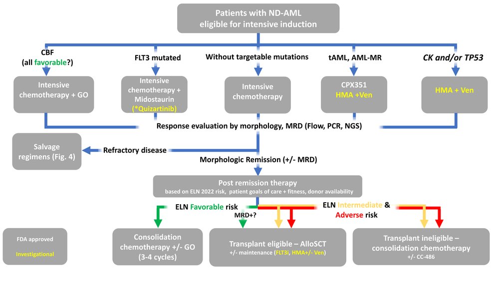 Pablo Hidalgo-Monroy 🥑 on Twitter: "RT @Innov_Medicine: Acute myeloid leukemia: 2023 update on ...