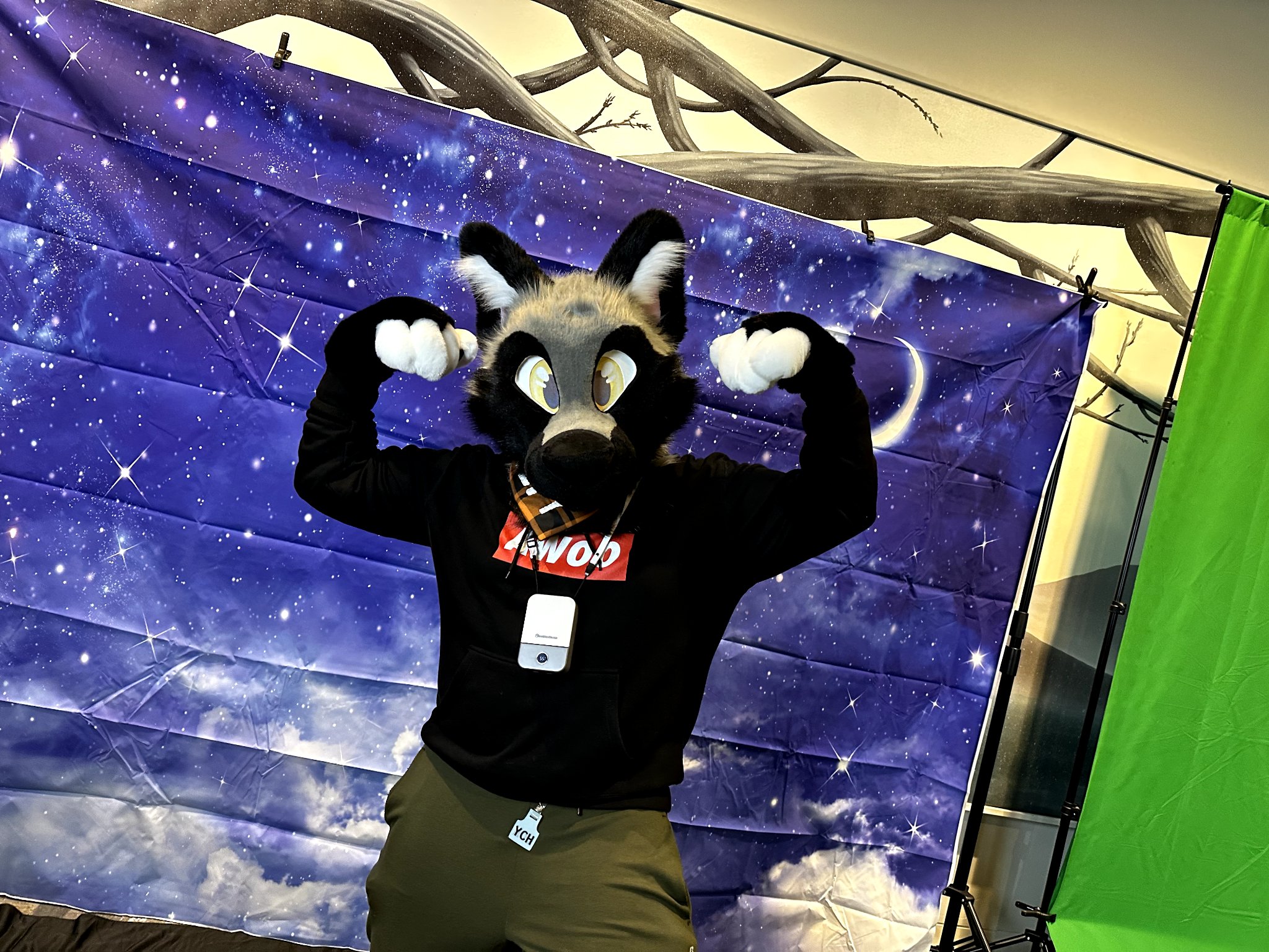 Swell on Twitter: "Come say hi to my other sona Swolfy the Wolfy at @anthronw AWOOOOOOOO # ...