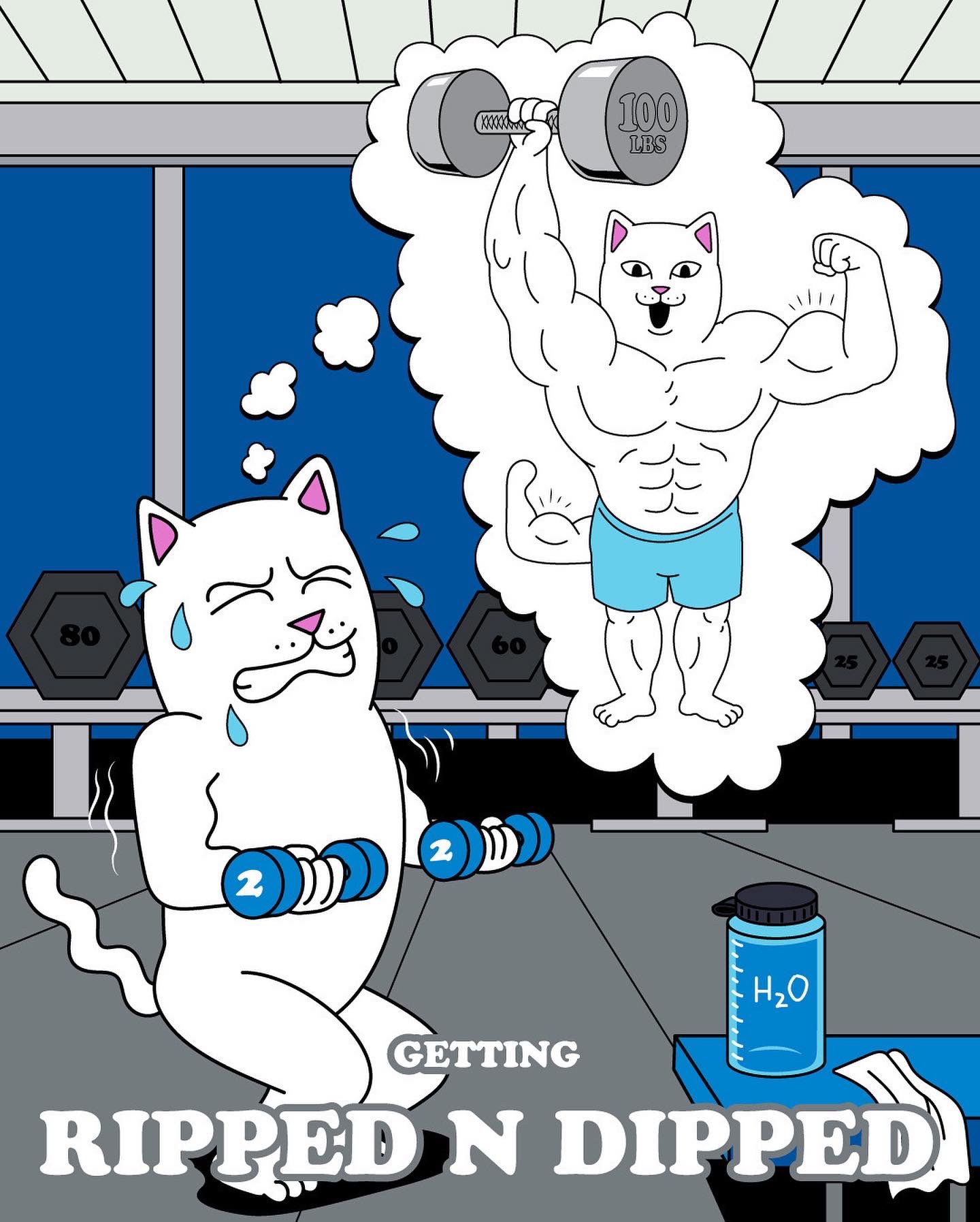 Seb 🦇🔊 💊 on Twitter: "RT @RIPNDIP: New year new me https://t.co/vlMN1UkofJ" / Twitter