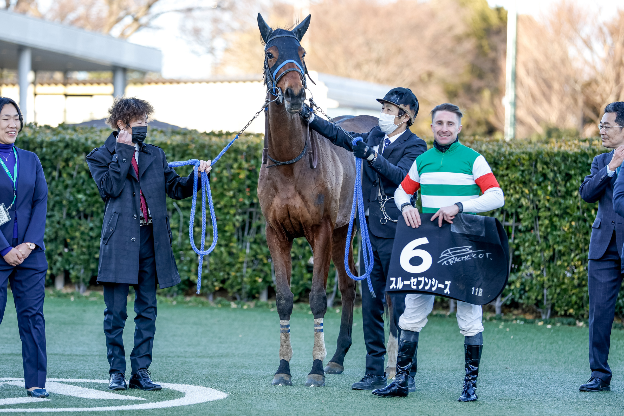 netkeiba on Twitter: "【中山11R 初富士S(4歳上3勝)】 #スルーセブンシーズ 父ドリームジャーニー 母マイティースルー 半姉パッシングスルー https://t ...