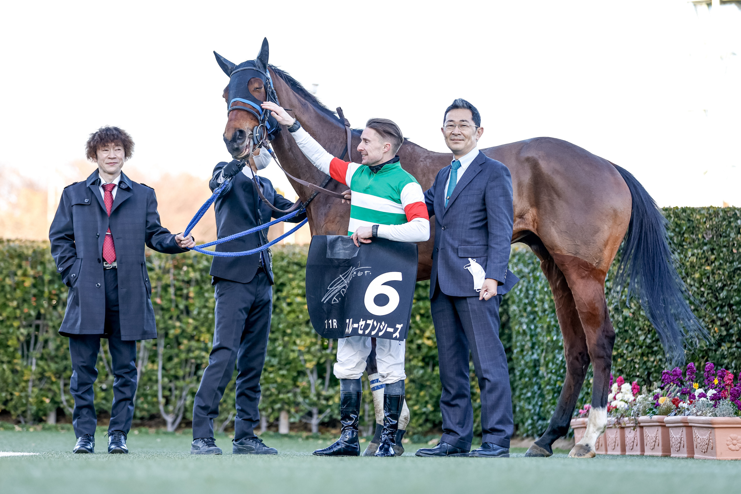 netkeiba on Twitter: "【中山11R 初富士S(4歳上3勝)】 #スルーセブンシーズ 父ドリームジャーニー 母マイティースルー 半姉パッシングスルー https://t ...