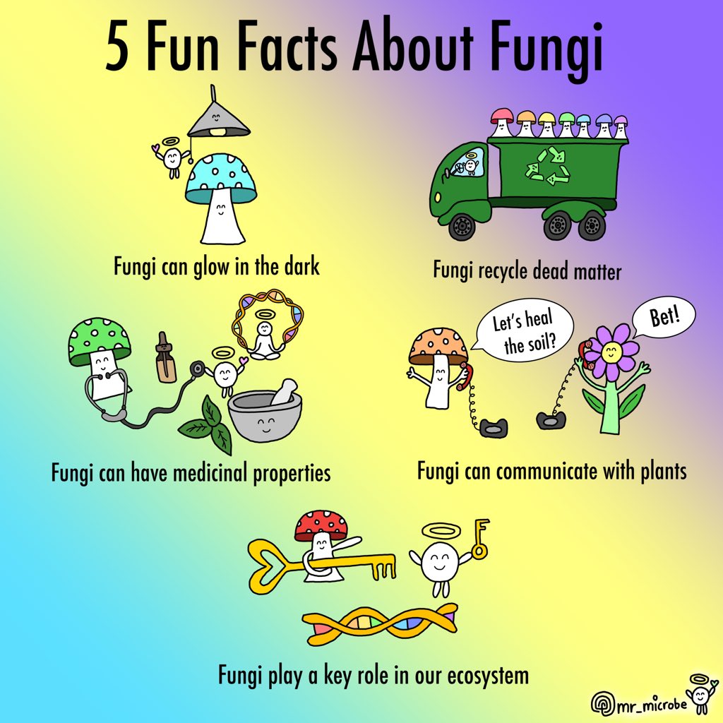 mr_microbe (@mrmicrobe44) さんのイラスト・マンガ作品まとめ (30 件) - Twoucan