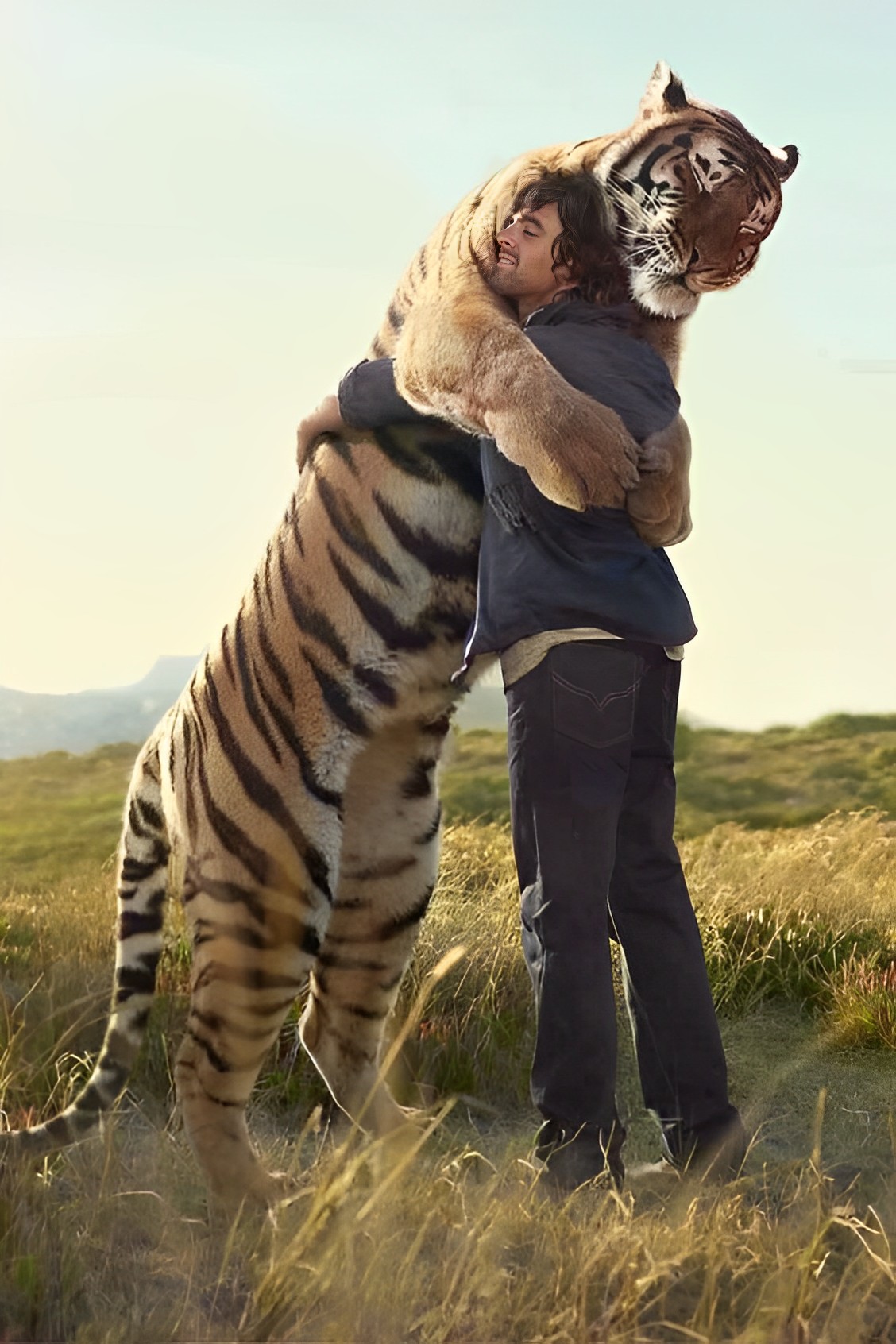 Animals Hugging Humans