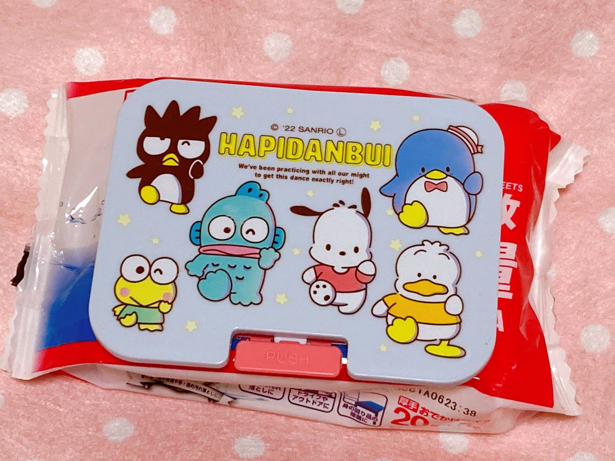 ゴロピカドン、バッドばつ丸も！『100均サンリオグッズ』の戦利品まとめ | Jocee