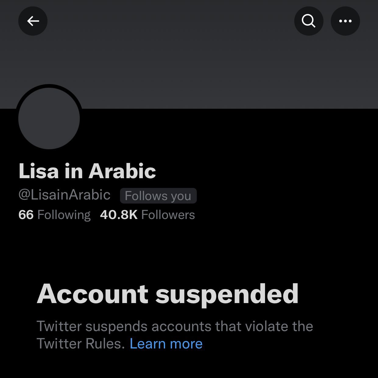 LISANATIONS on Twitter: "Please follow @LiliinArabic, their main ...