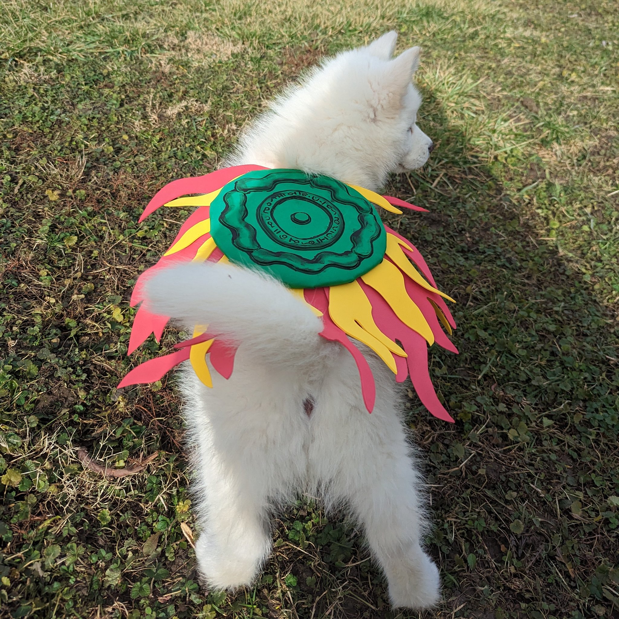 Okami Puppy