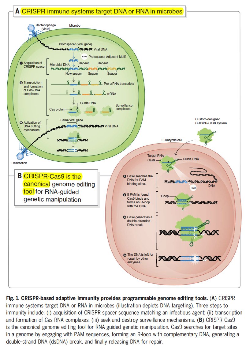 The Innovation | Medicine on Twitter: "RT @westr: GREAT REVIEW: #CRISPR technology: A decade of ...