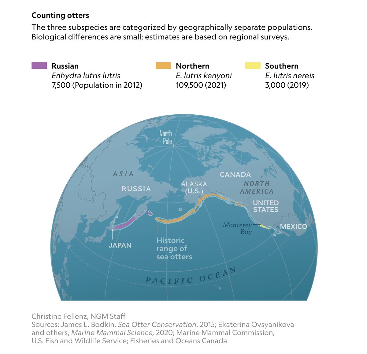 NatGeoMaps on Twitter: "There may have been as many as 300,000 sea ...