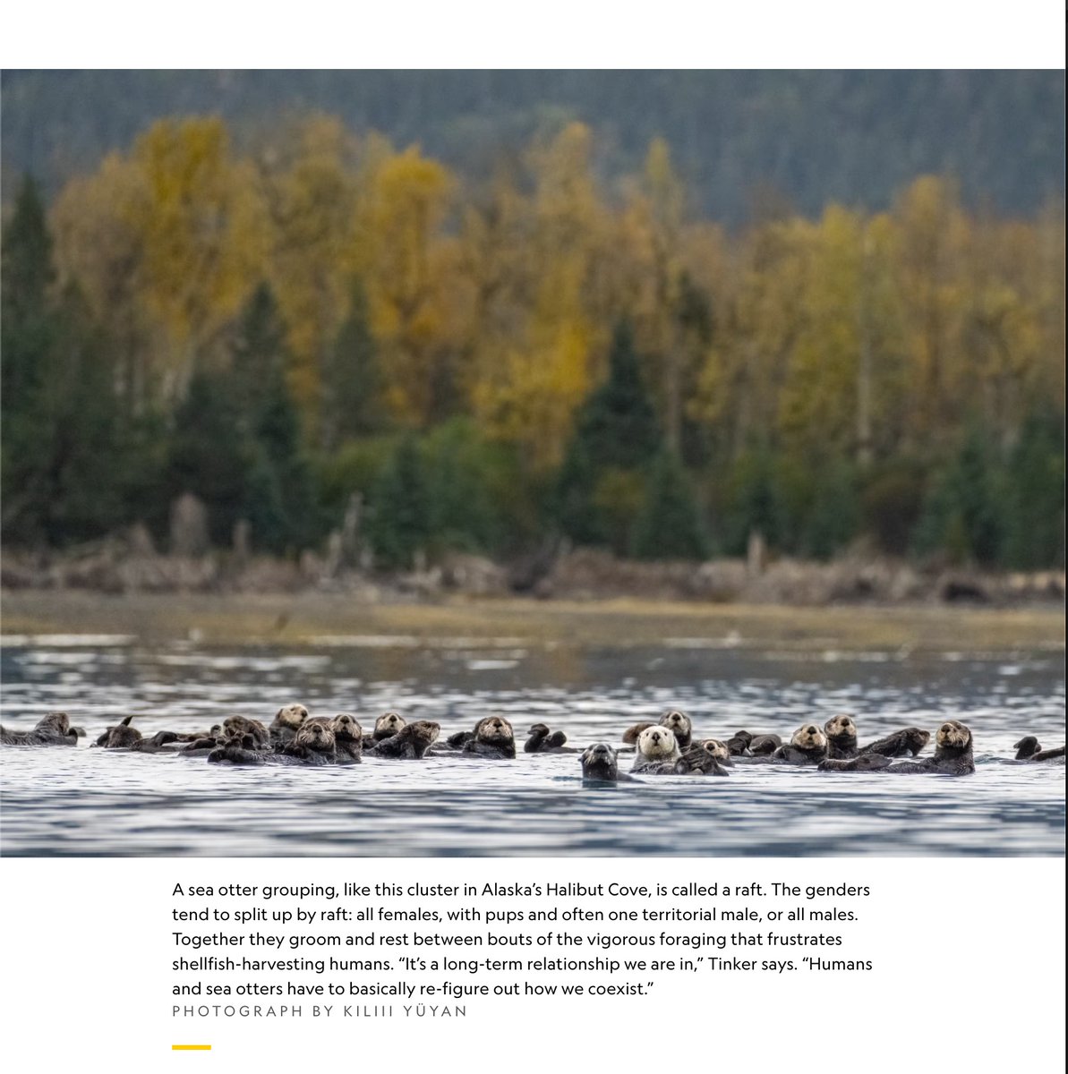 NatGeoMaps on Twitter: "There may have been as many as 300,000 sea ...