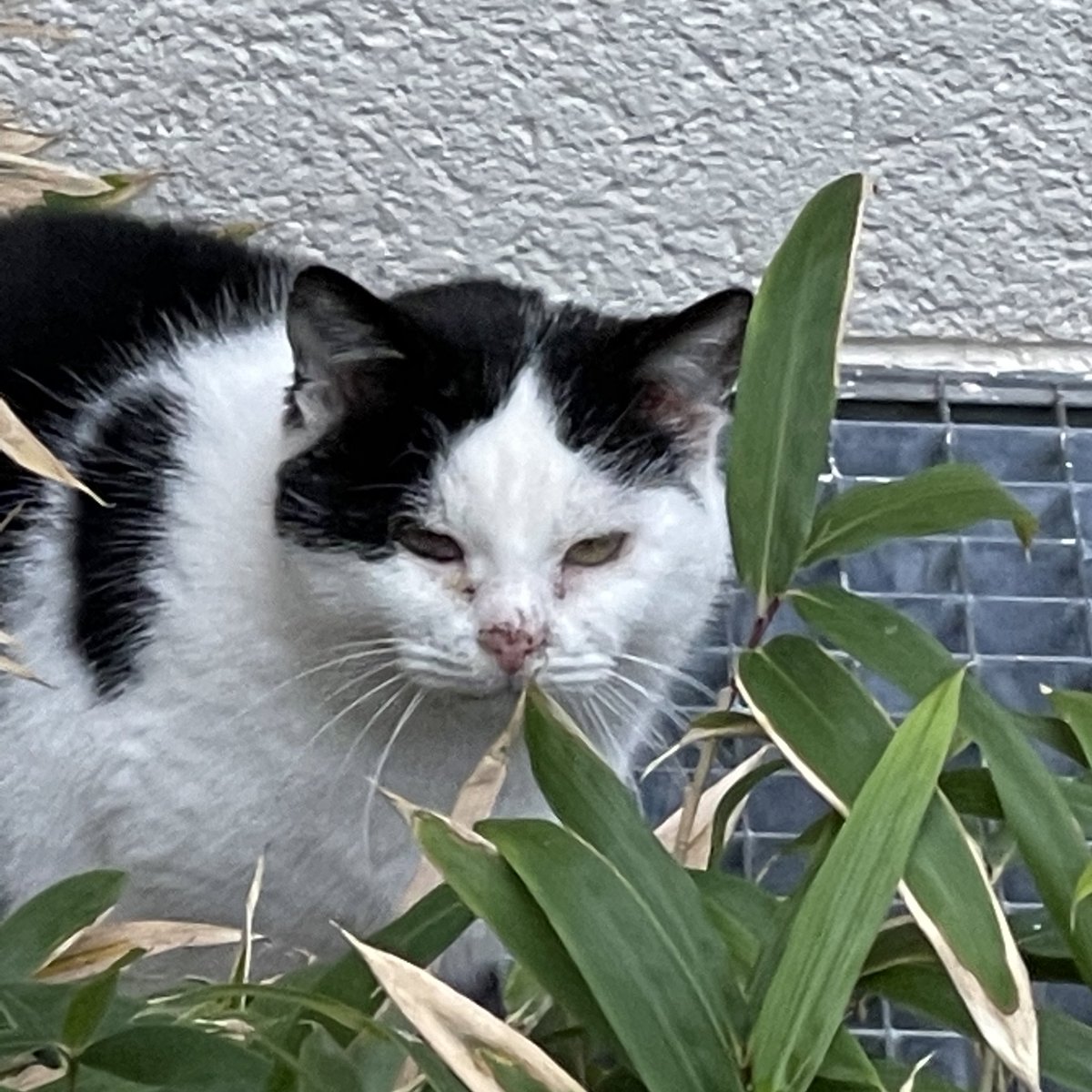 FeFe on Twitter: "He’s watching me shower…send help"