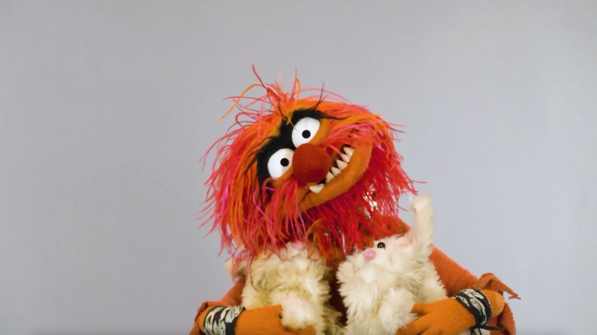 Muppets Characters Animal