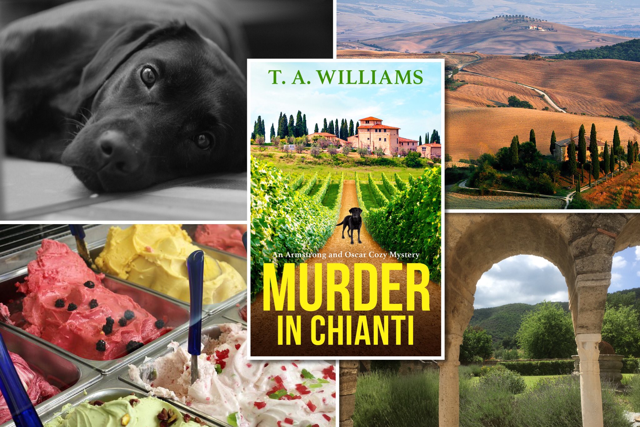 Some recommended winter reading - Beverley Harvey Author