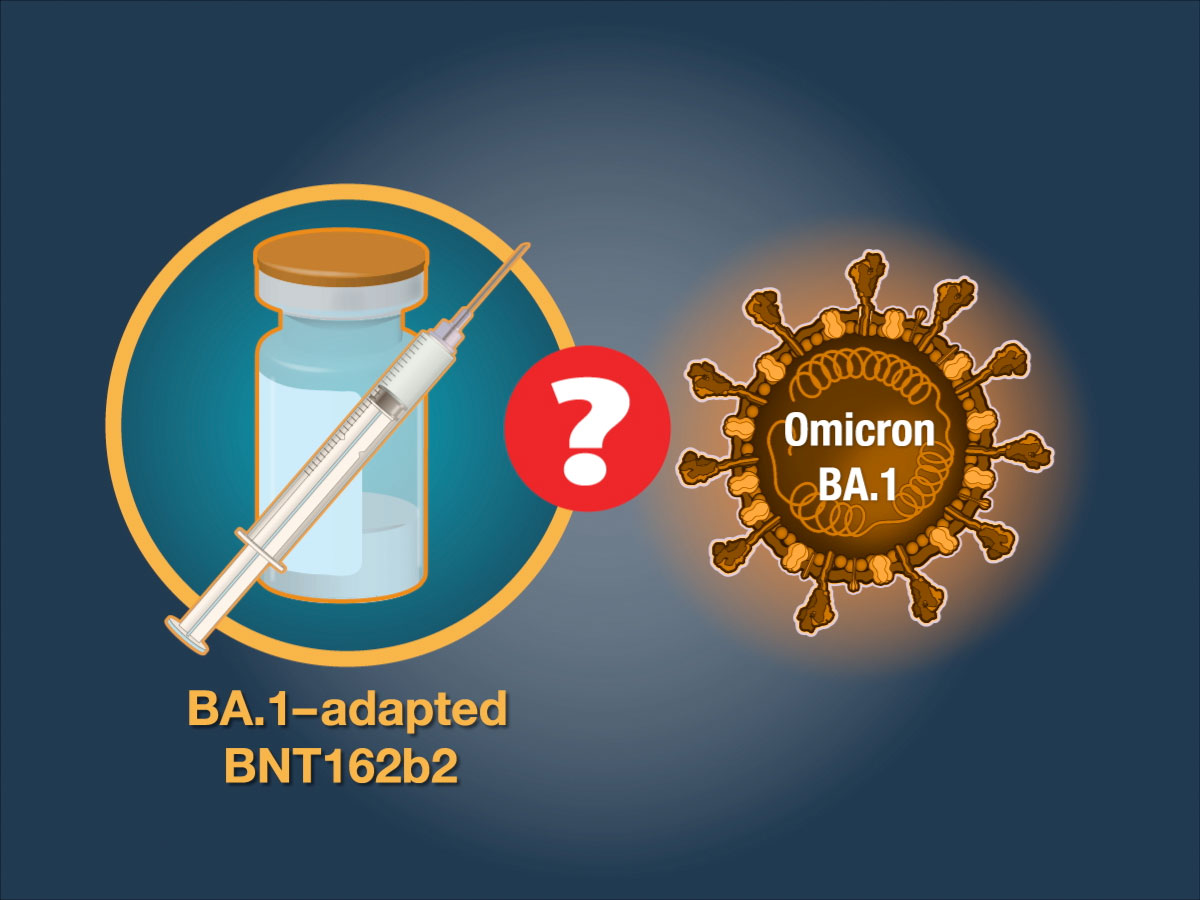 NEJM on Twitter: "The original BNT162b2 vaccine provided broad protection against SARS-CoV-2 ...