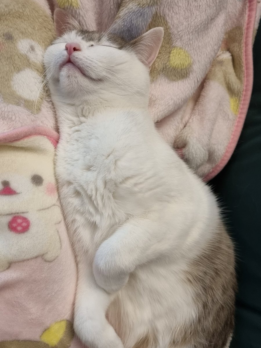 Nicolebun On Twitter Mim