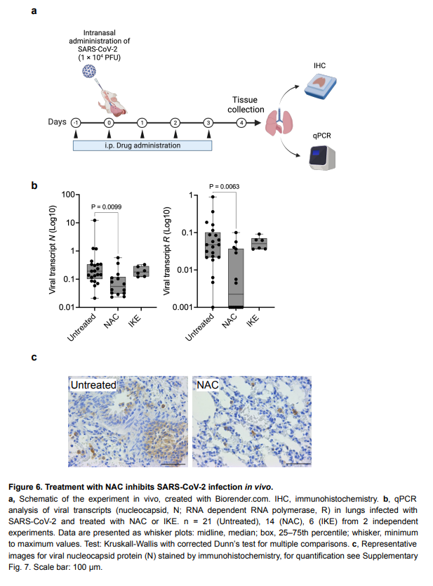 P. D. Mangan Health & Freedom Maximalist 🇺🇸 on Twitter: "New study: N-acetylcysteine (NAC ...