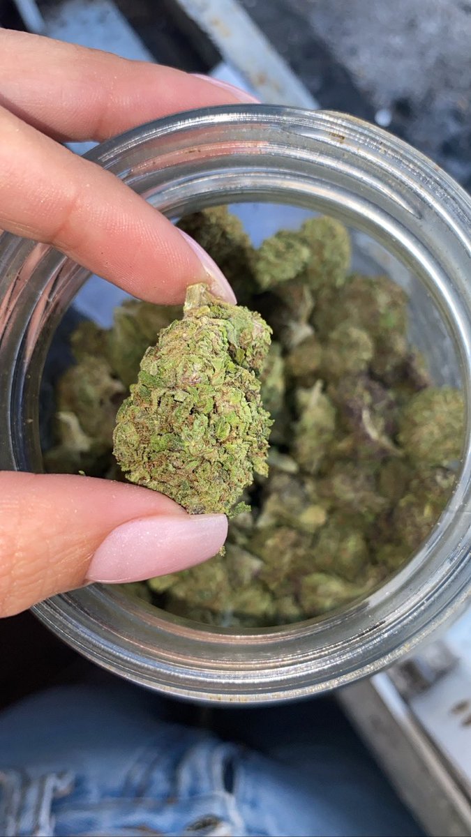 Capital High Mx on Twitter: "Ya es viernes!!! Y ya huele a mota 😶‍🌫️🥵 Ya hicieron su pedido ...