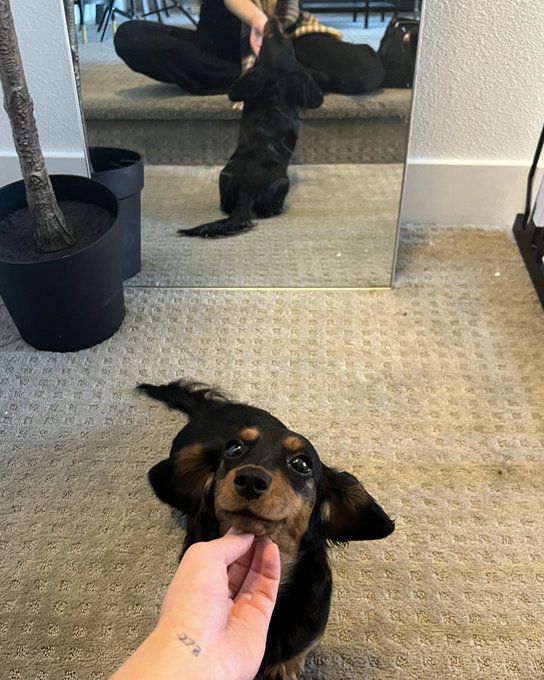 TW Pornstars - Nami Has A Small Ween. The most liked pictures and ...