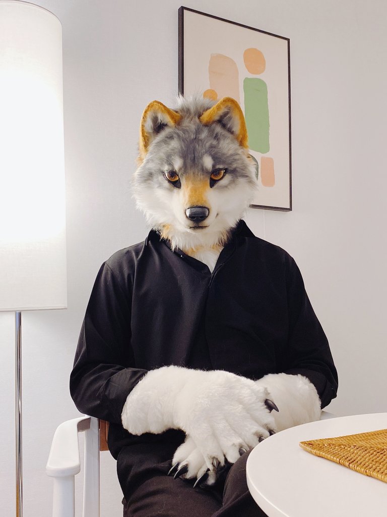 Hangaebi🌼 on Twitter: "a blind date with a wolf #FursuitFriday #furry #fursuit https://t.co ...