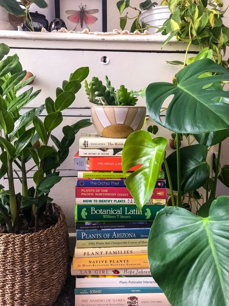 paula's Threads – Thread Reader App