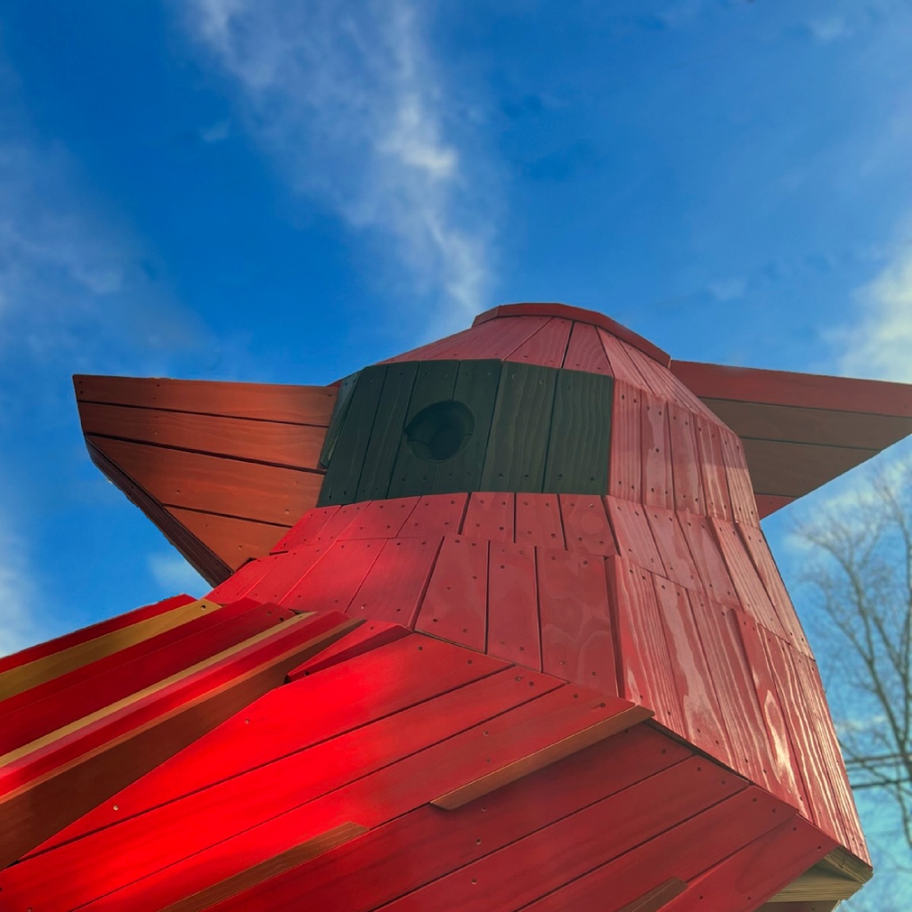 Playground Design and Build | Earthscape