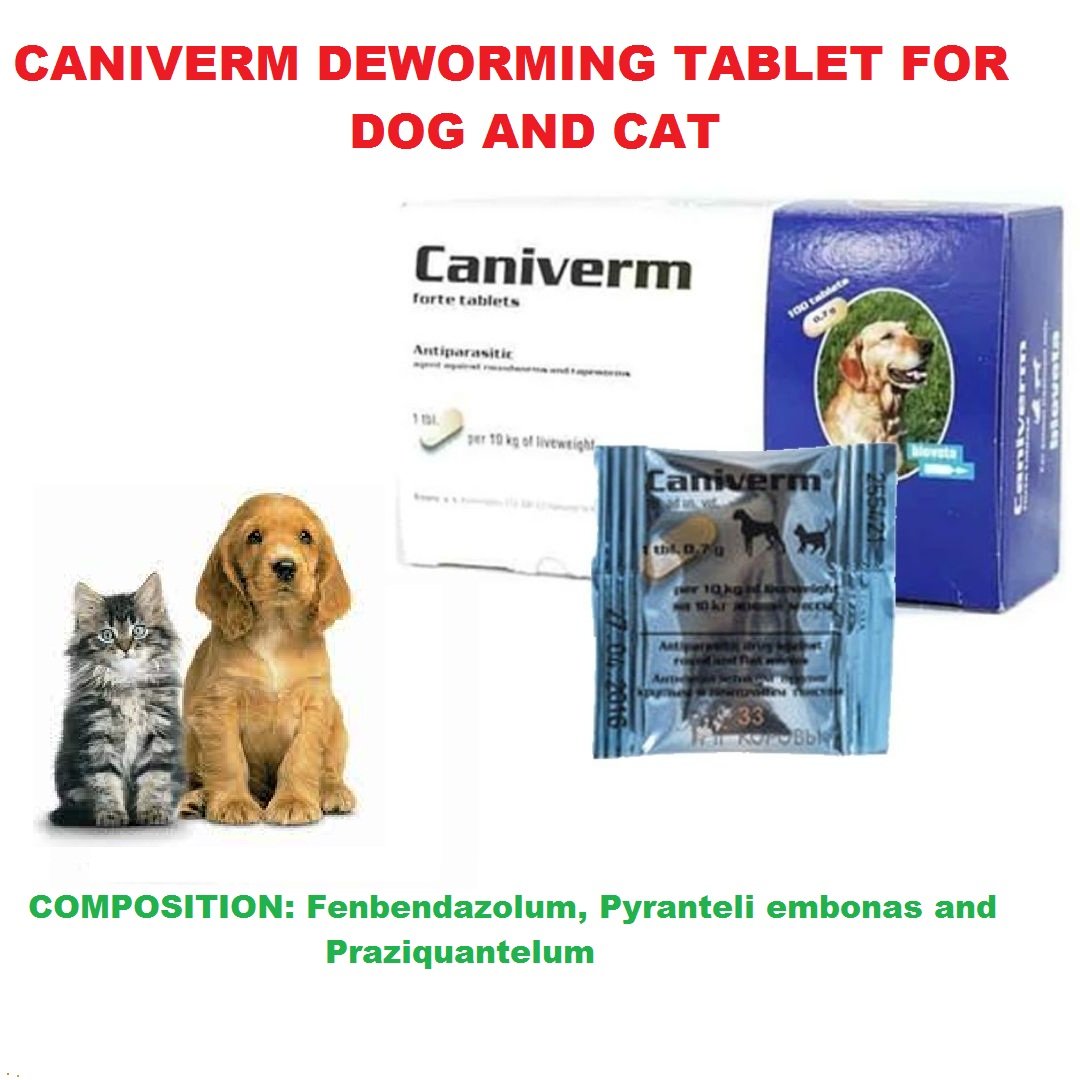 PetPoint.PK on Twitter: "All pets accessories are available.....Visit Our Online Store at http ...