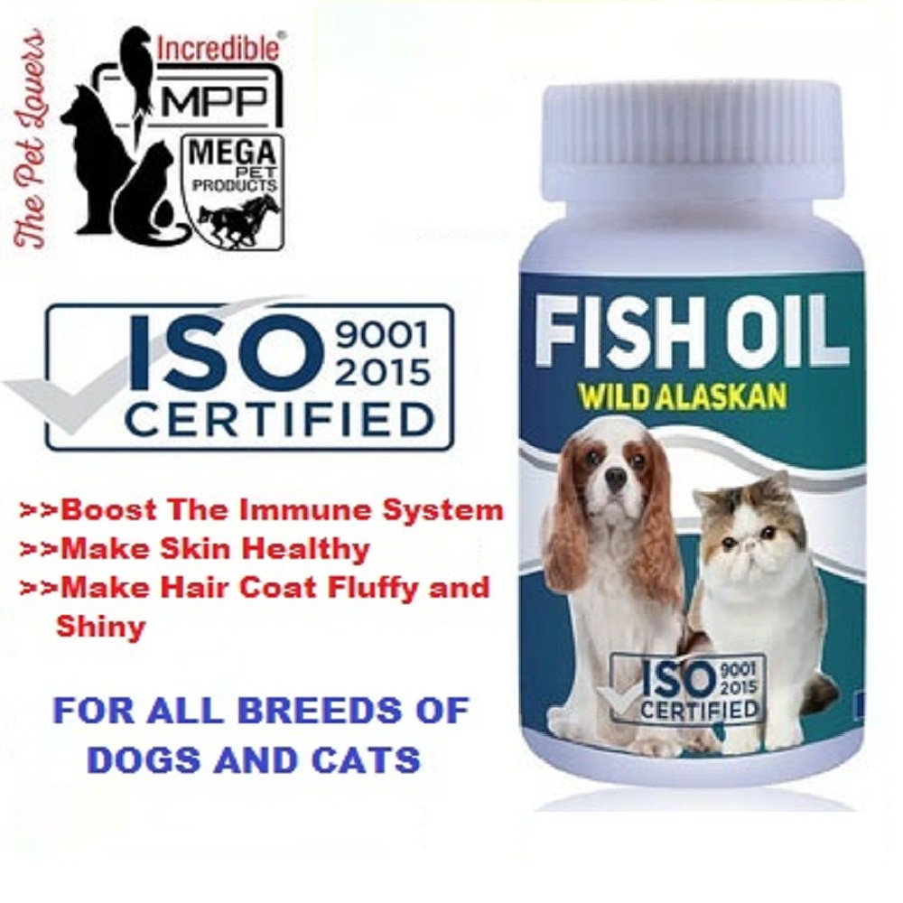 PetPoint.PK on Twitter: "All pets accessories are available.....Visit Our Online Store at http ...