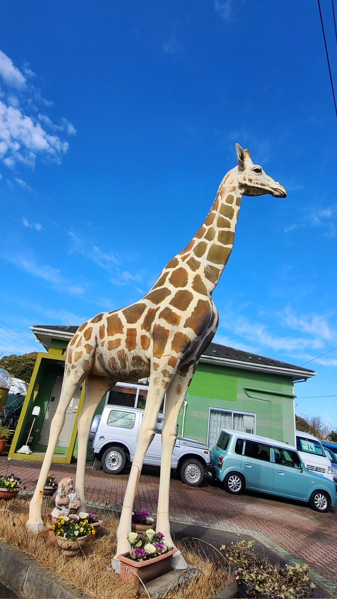 キタキツネ 🦊🆎♂️♎♨️🚭🍺(@kitakitune_007) - Twilog (ツイログ)