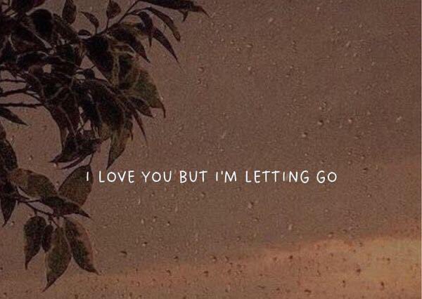 Im Letting You Go Quotes