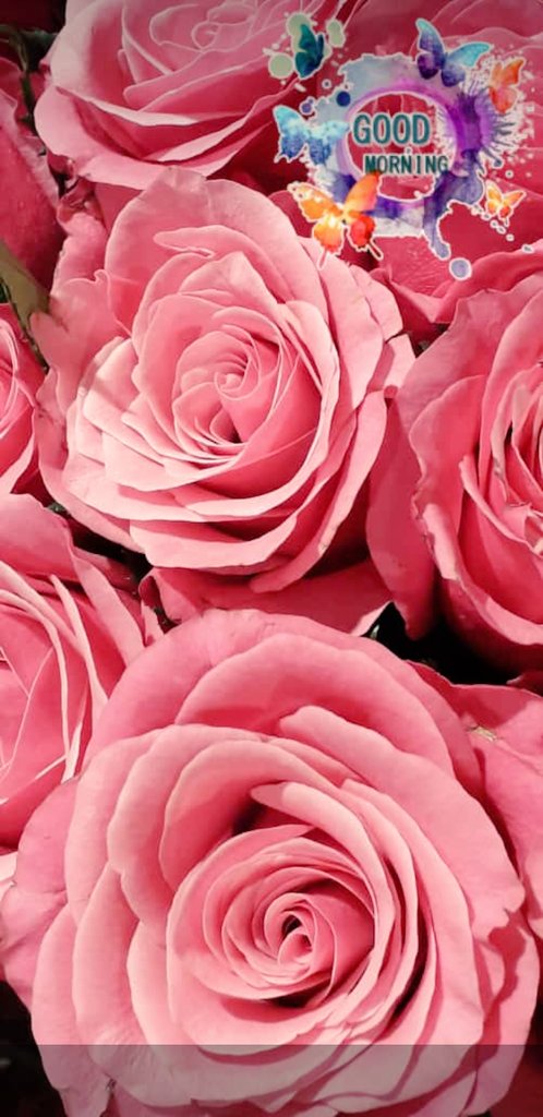 rosephのTwitterイラスト検索結果。