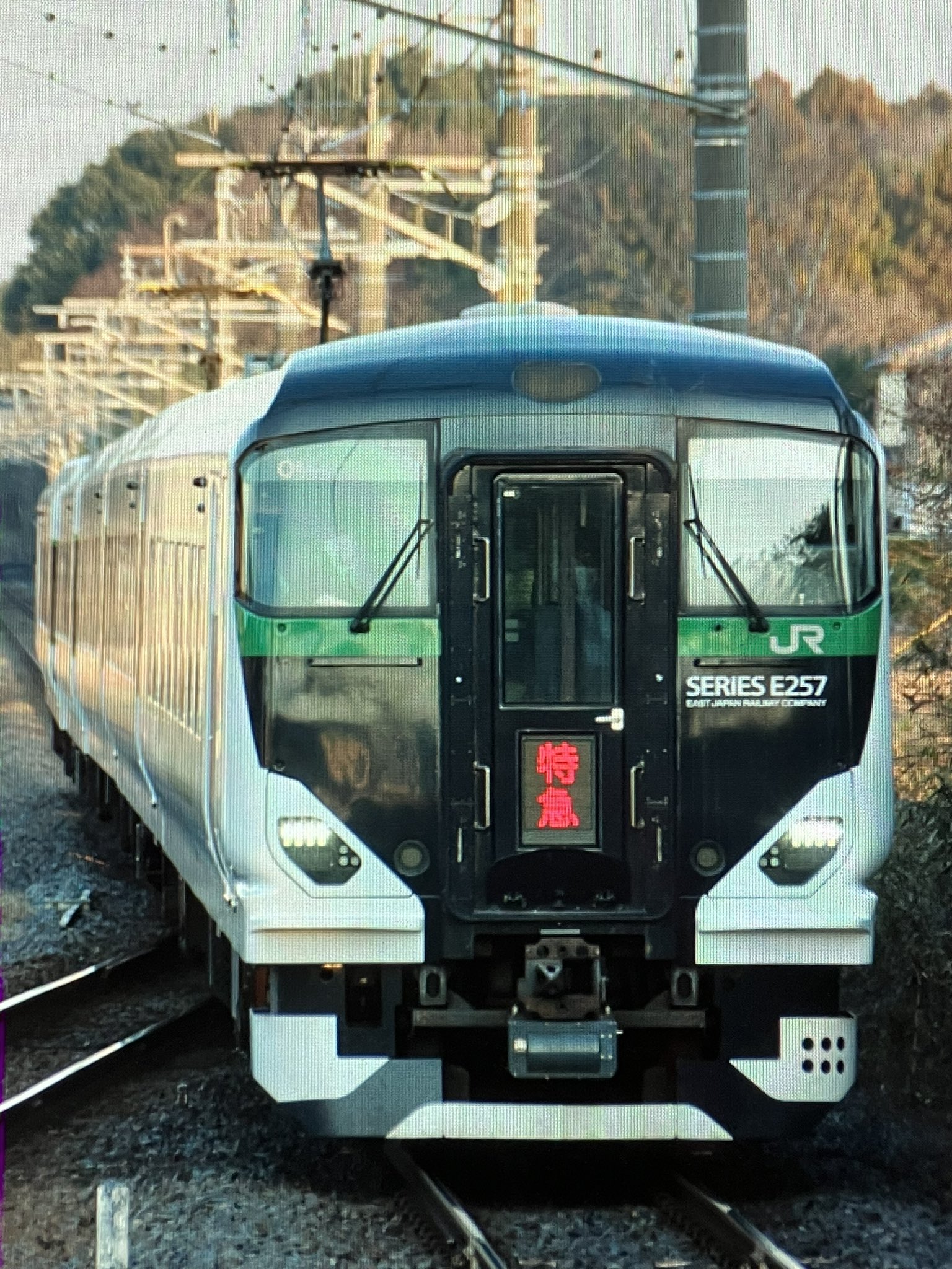 ミュウダイ on Twitter: "185系 B6編成6B E257系5500番台5B 東我孫子にて https://t.co/IsAxOW4pTR" / Twitter