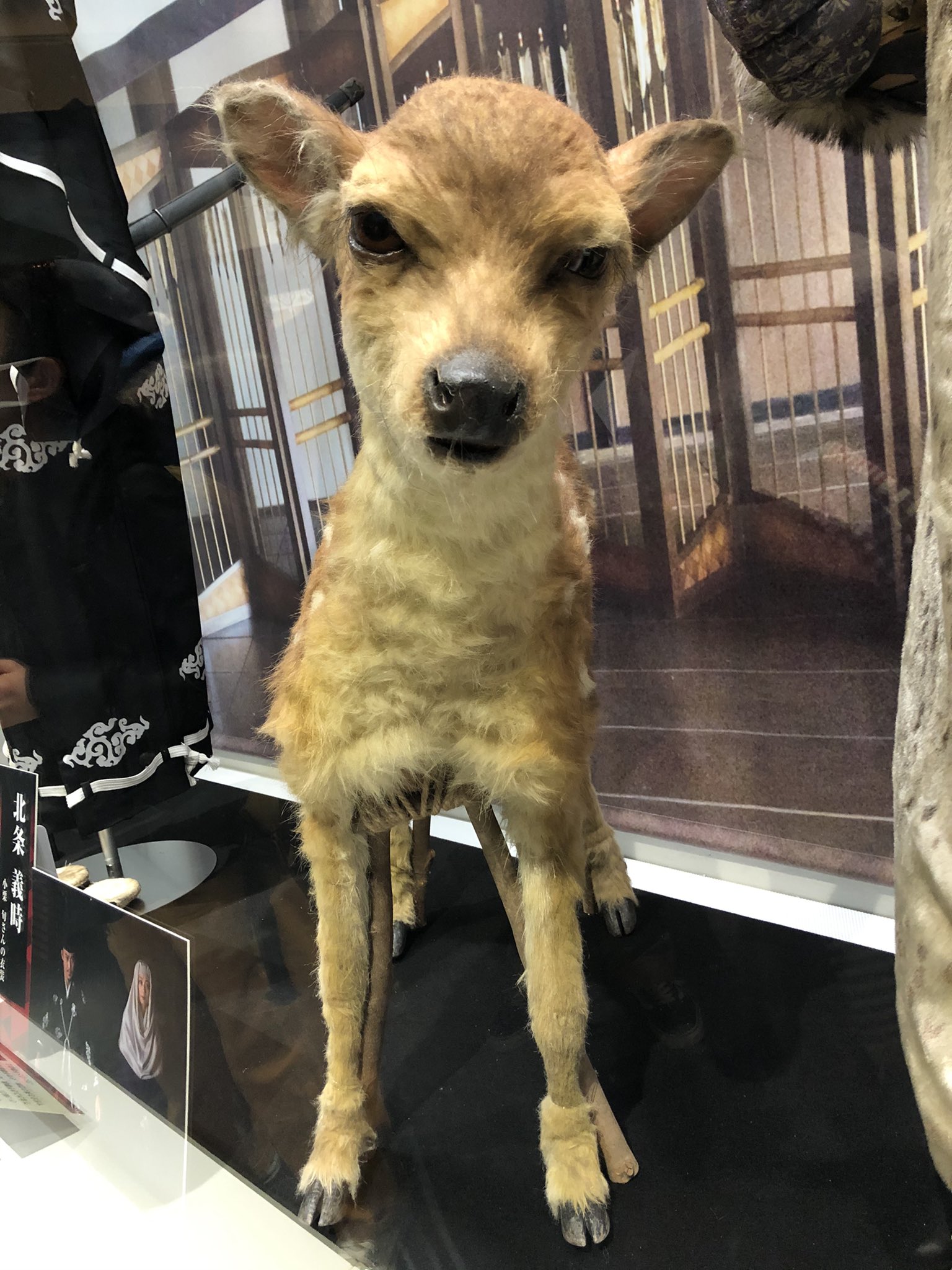 yanbo on Twitter: "https://t.co/sLKhGN74Vk" / Twitter