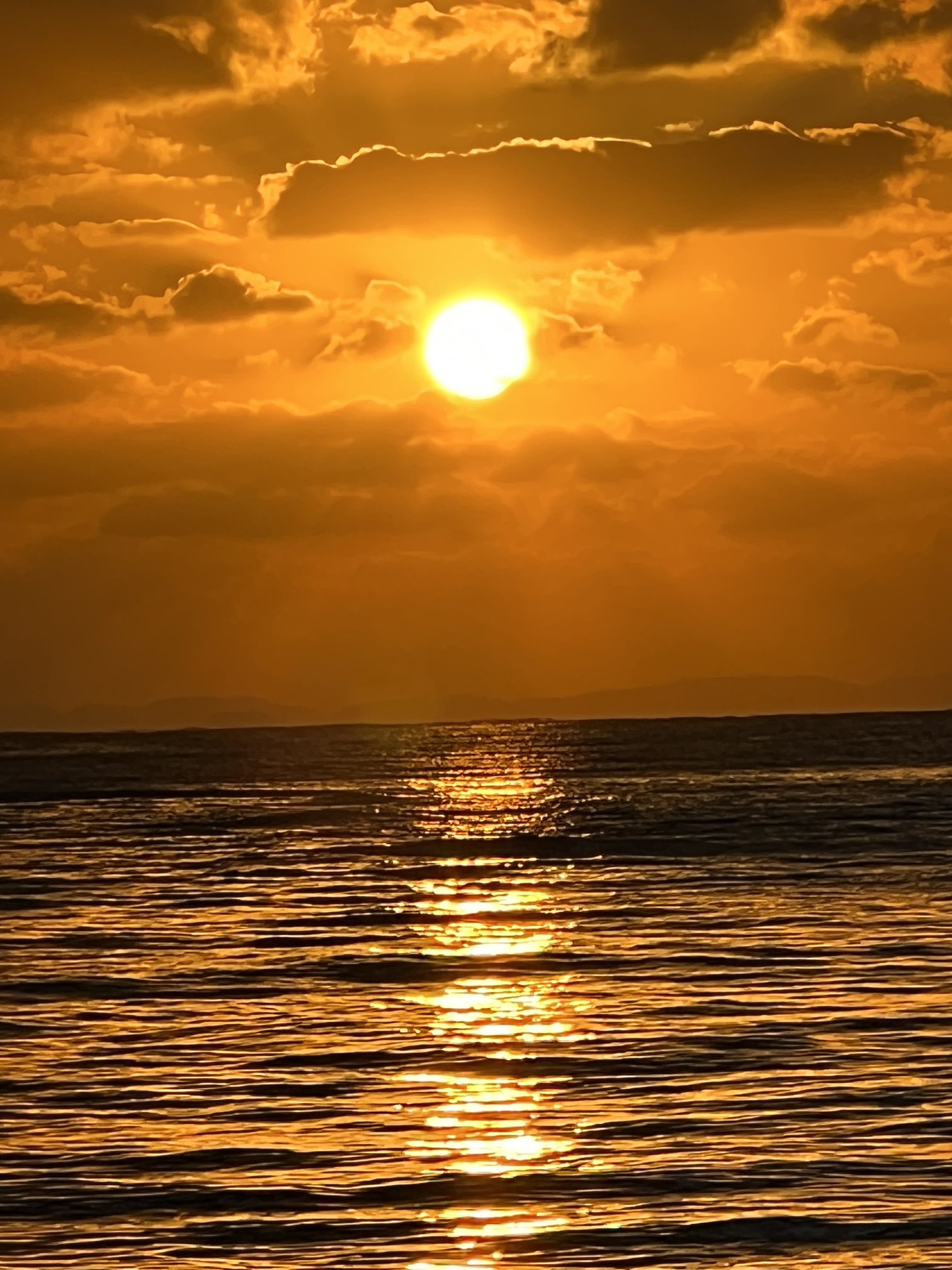 Old JAL (@JGC_Training) / Twitter