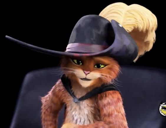 ๐ฟ๐๐๐ แ แ โฃ On Twitter ใ
ค ใ
คthe Look Of A Cat Who Needs To Be ใ
คwrecked ใ
ค