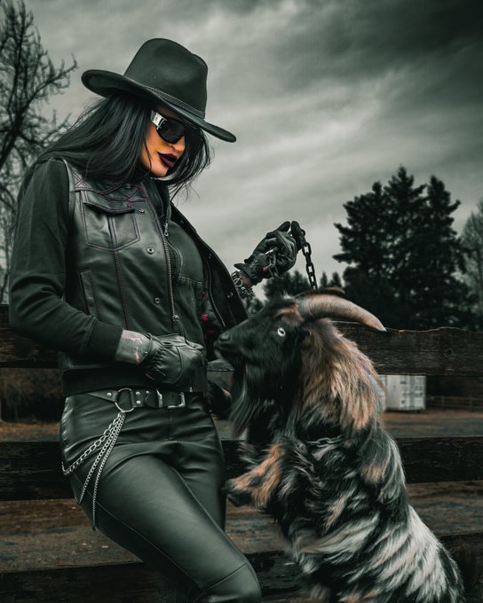 TW Pornstars - Mistress Damazonia 👑. Pictures and videos from Twitter ...