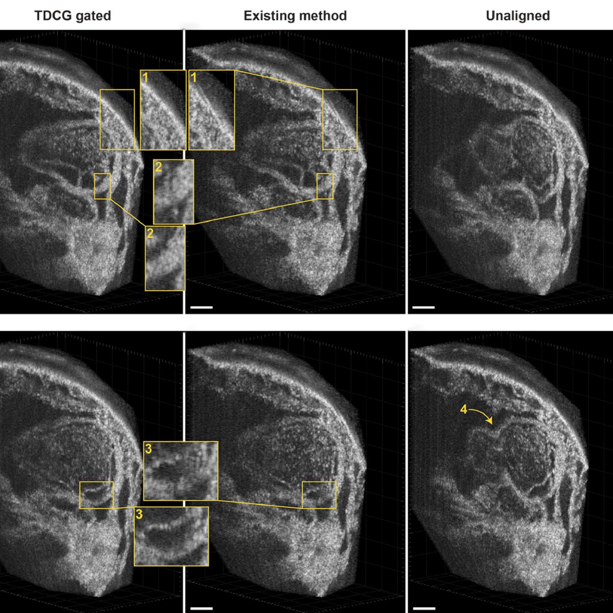 Optica Publishing Group on Twitter: "An Editors' Pick via #OPG_BOEx ...