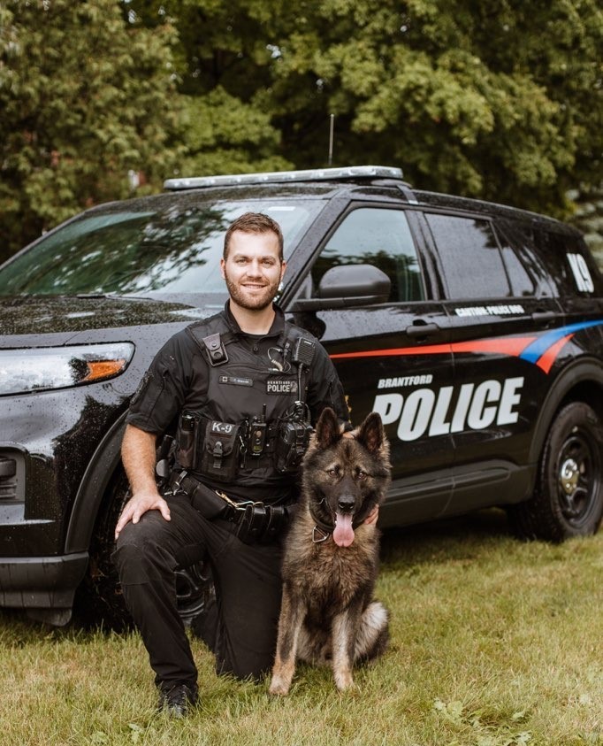 Brantford Police On Twitter Bps K9 Mack Instrumental In Arrest Of