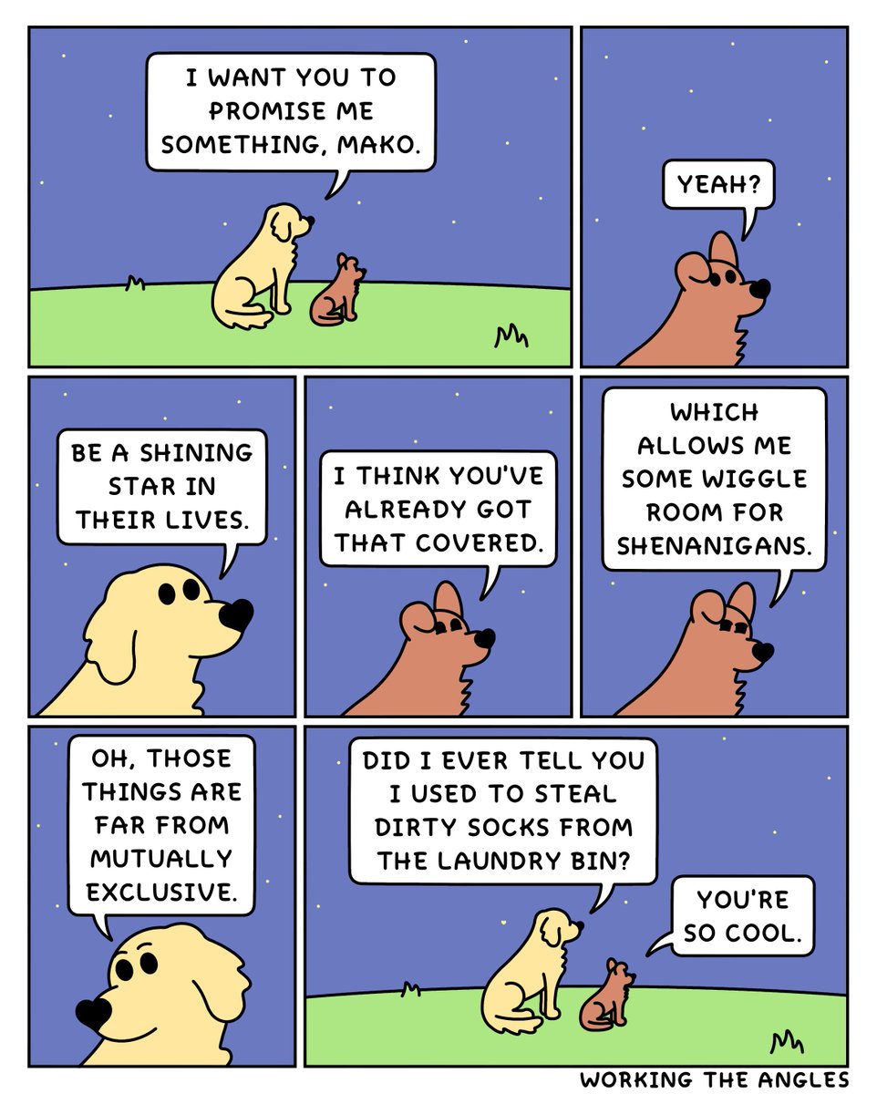 rktr 🍅🌊🍫 on Twitter: "RT @WholesomeMeme: Comic by Working the Angles https://instagram.com ...