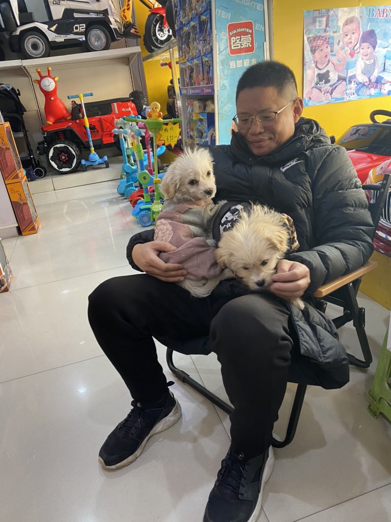 贺江兵 On Twitter 狗狗出院了活蹦乱跳的,我给他取名fbi,他弟弟叫中情局,他们的爹我叫美国民主党党棍。😂