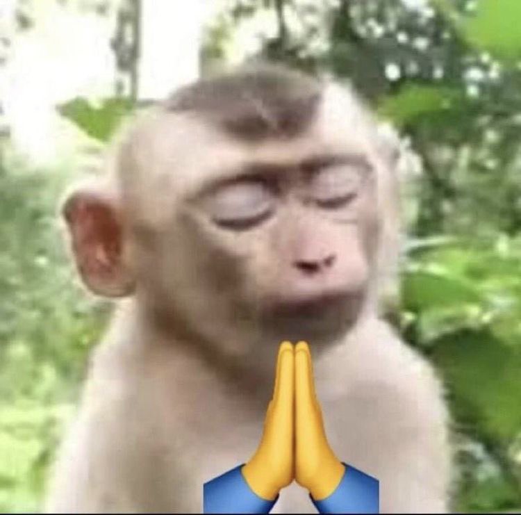 Prayer Hands Memes Prayer, High Five? Users Confused Over Emoji's